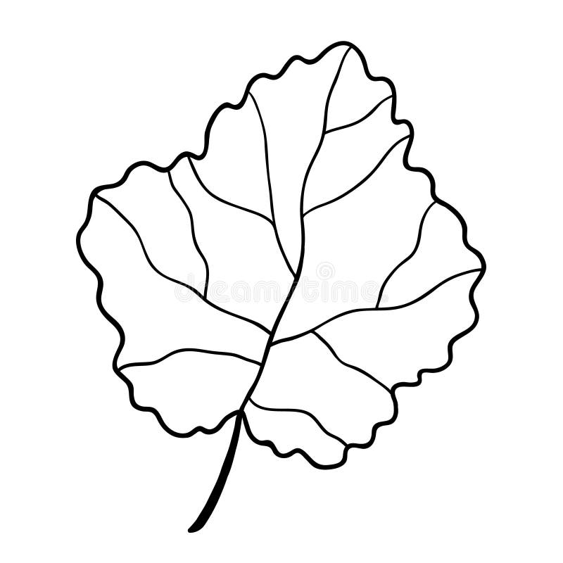 Abstract Contour Leaf Isolated on White Stock Vector - Illustration of ...