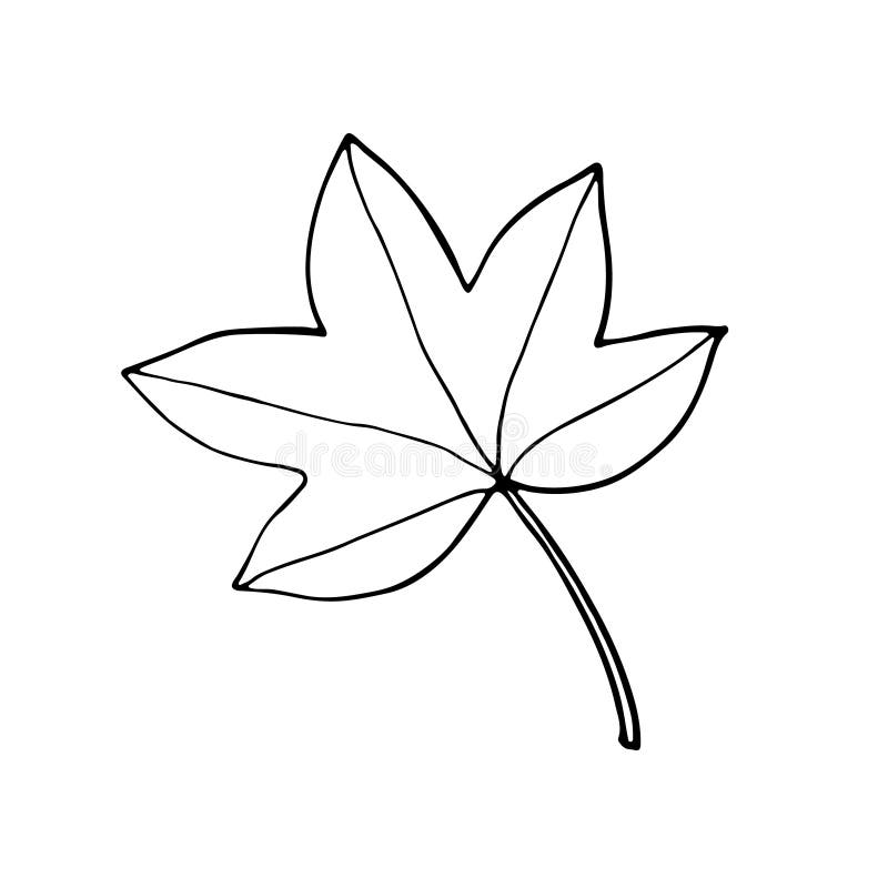 Abstract Contour Leaf Isolated Stock Vector - Illustration of blossom ...