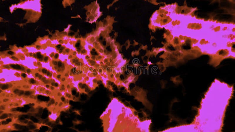 Abstract Contrasting Shapes with the Sharpness of Image. Motion ...