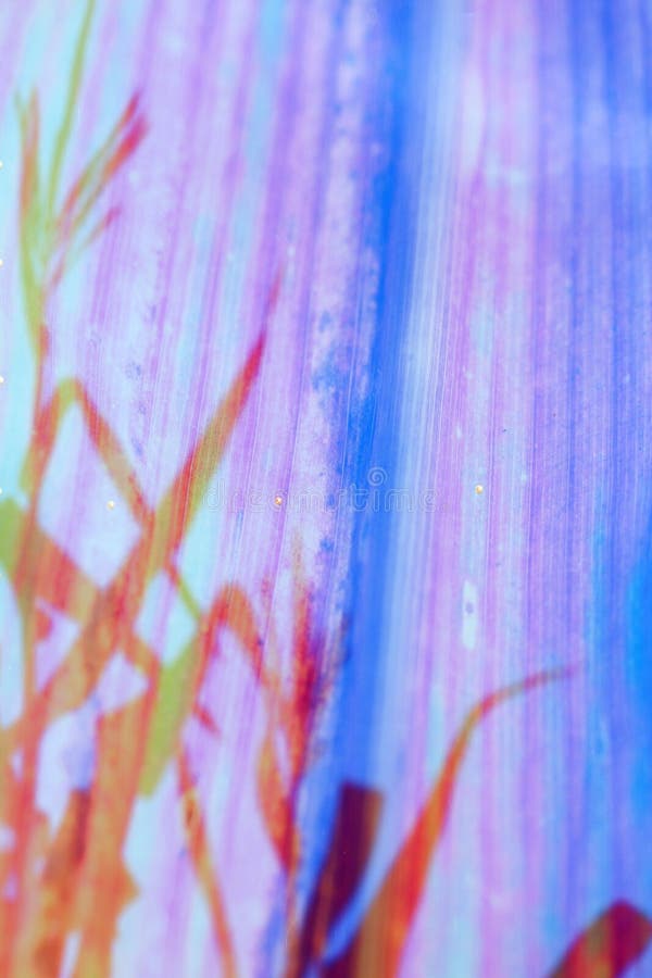 Abstract Corn for Double Exposure Stock Image - Image of corn, abstract ...