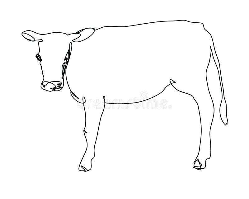 Minimal Line Drawing Cow Stock Illustrations – 112 Minimal Line Drawing ...
