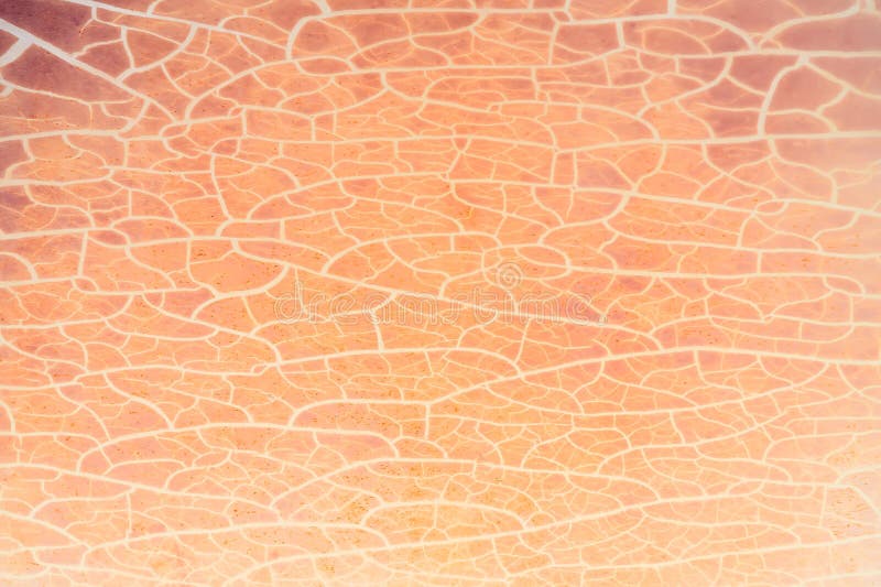 Cracking of the Plastic Sheet Stock Image - Image of type, messy: 58959619