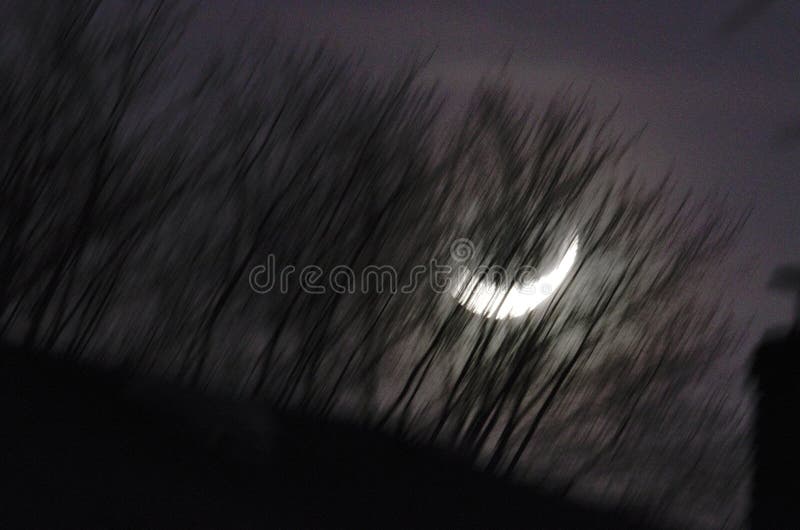 Abstract Crescent Moon through Trees Stock Photo - Image of wallpaper ...