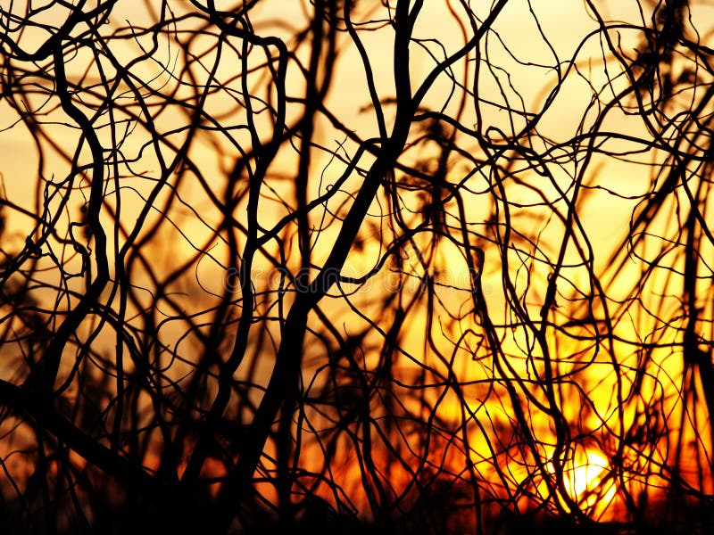 Spectacular Sunset stock photo. Image of digital, elements - 4070100