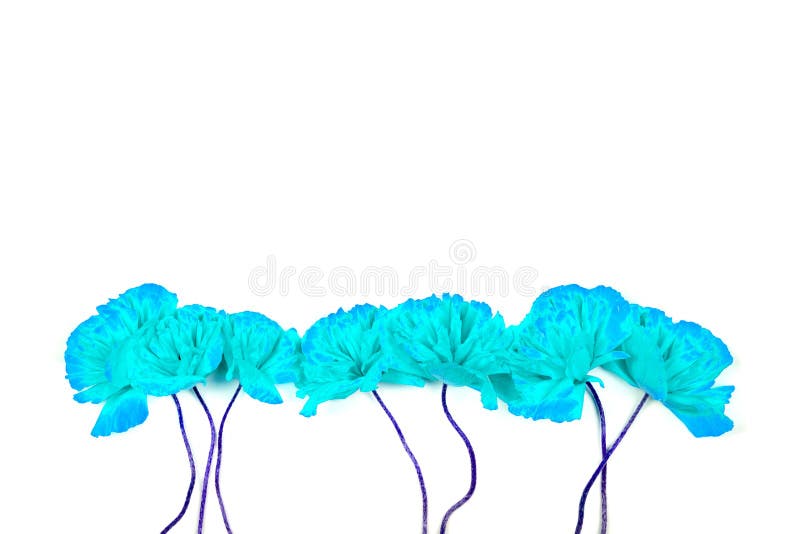 Abstract Cyan Flowers Isolated on a White Background. Stock Image ...