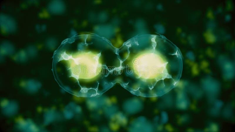 Abstract 3d Render of Cell Division in the Human Body. Stock Video ...