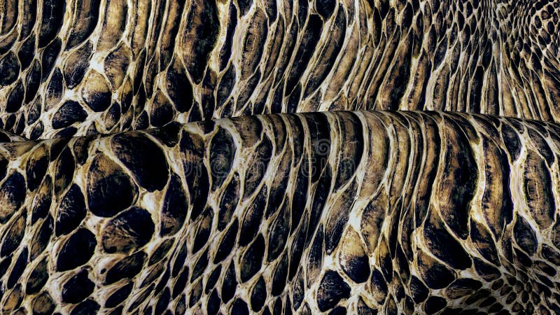 Waves of Snake-colored Fabric. Stock Footage - Video of luxury, exotic ...