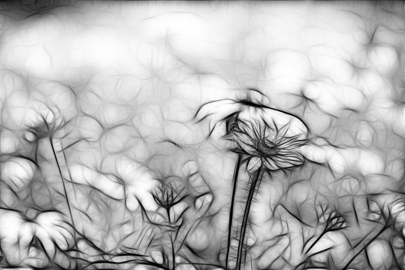 Abstract Daisies Illustration Stock Vector - Illustration of flowers ...