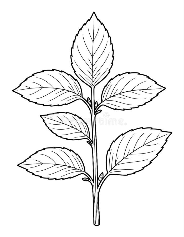 Abstract Data Stream Network Wavy Lines Backdrop Stock Illustration ...