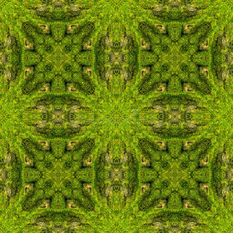 Abstract Decorative Green Moss Background. Seamless Pattern Stock Image ...