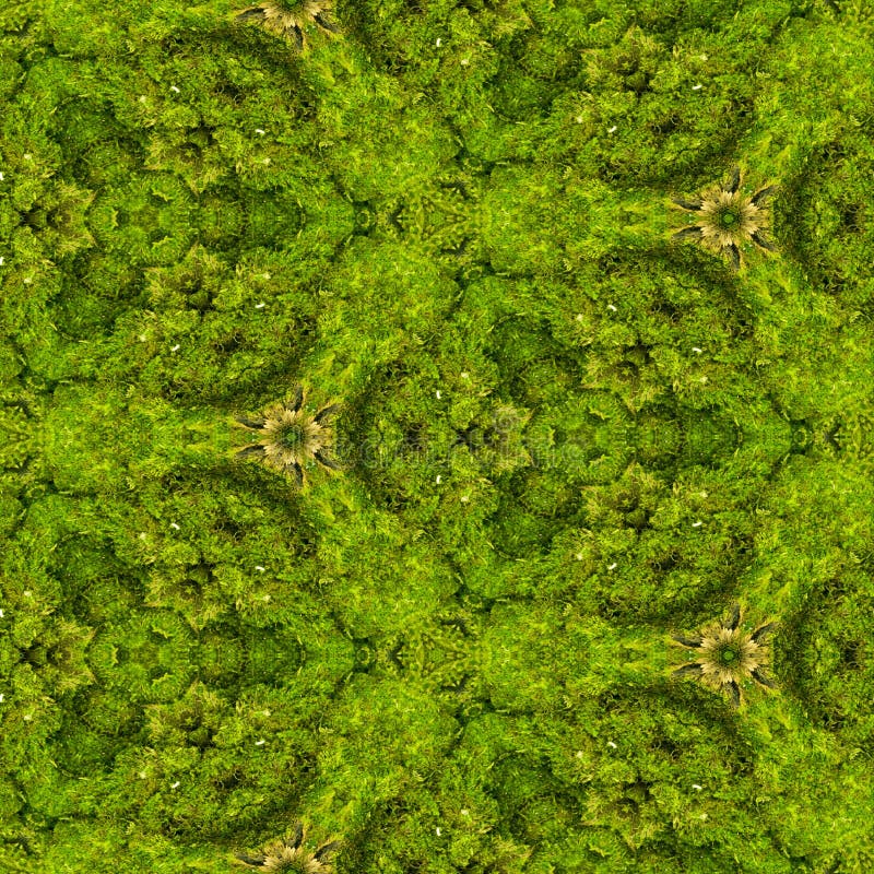 Abstract Decorative Green Moss Background. Seamless Pattern Stock Photo ...