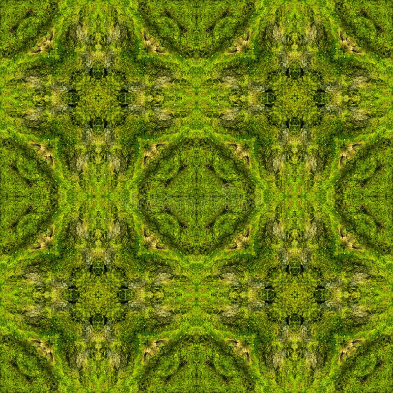 Abstract Decorative Green Moss Background. Seamless Pattern Stock ...