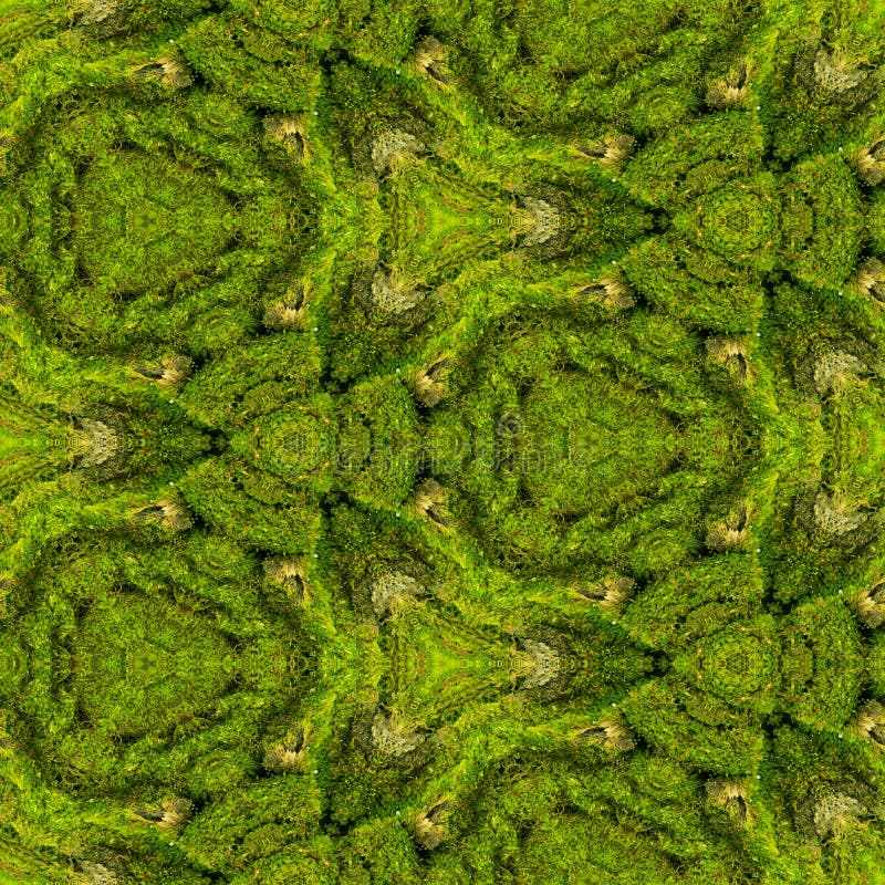 Abstract Decorative Green Moss Background. Seamless Pattern Stock Photo ...