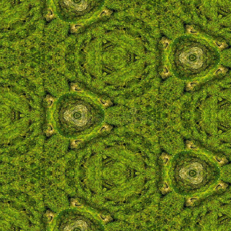 220+ Green moss abstract background Free Stock Photos - StockFreeImages