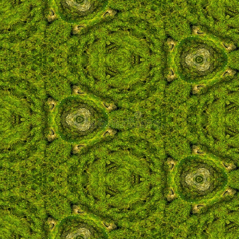 Moss Pattern Stock Illustrations – 28,733 Moss Pattern Stock ...