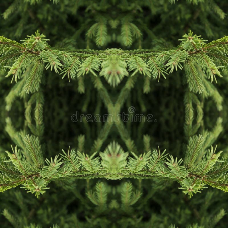 Abstract Decorative Pine Background. Seamless Pattern. Stock ...