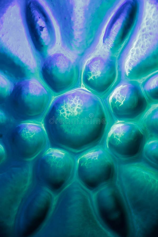 Abstract Deep Colors with Random Shapes on a Close Up View Stock Image ...