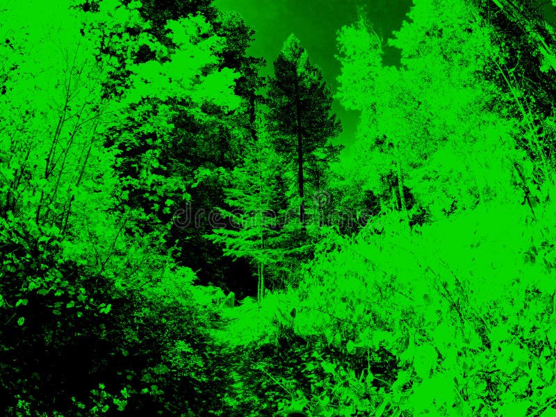 Abstract Deep Green Colorized Forest Scene - Arizona Stock Image ...