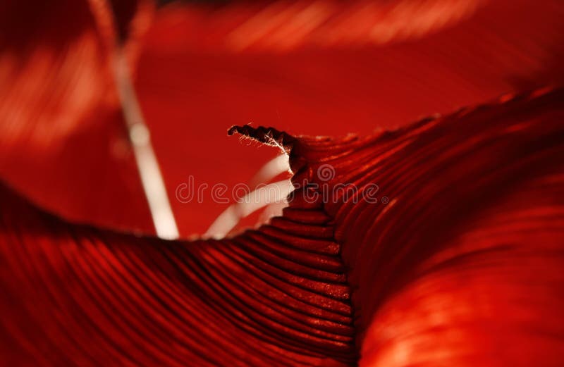 Abstract Deep Red Folded Surface Stock Photo - Image of cloth, hairy ...