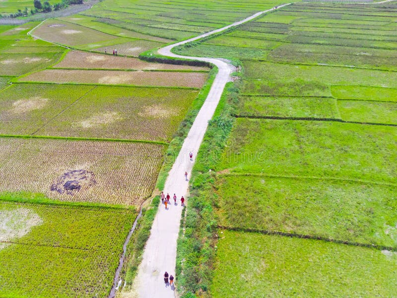 Aerial a Road that is the Main Transportation Access between Rice ...