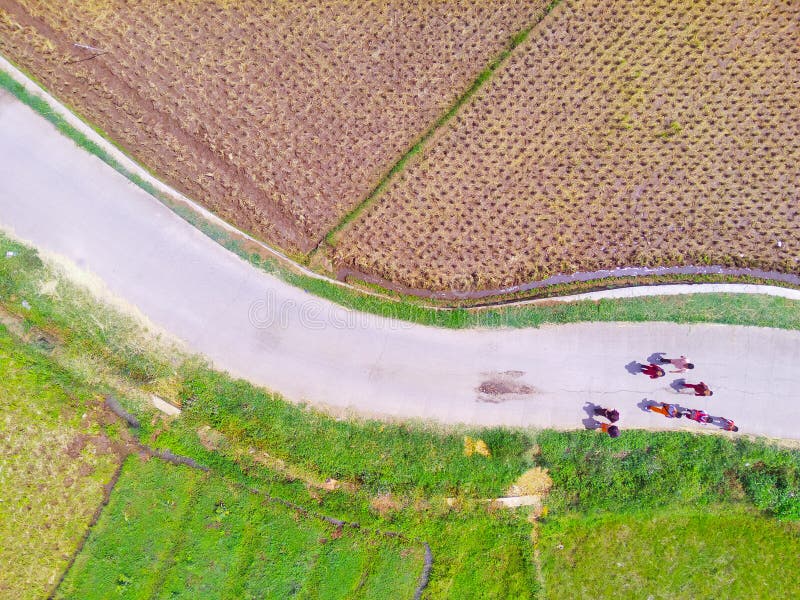 Aerial a Road that is the Main Transportation Access between Rice ...