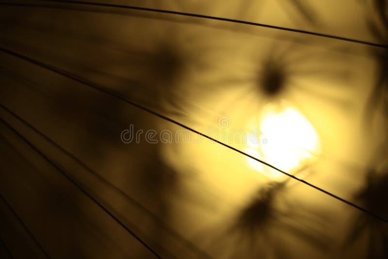 Abstract Defocused Shot of Indoor Lamp, Usable As Background Stock ...