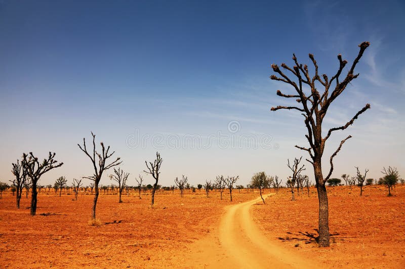 Abstract desert landscape stock photo. Image of adventure - 24545276