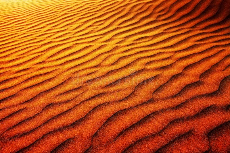 Abstract desert stock photo. Image of sunny, safari, outdoor - 41669234