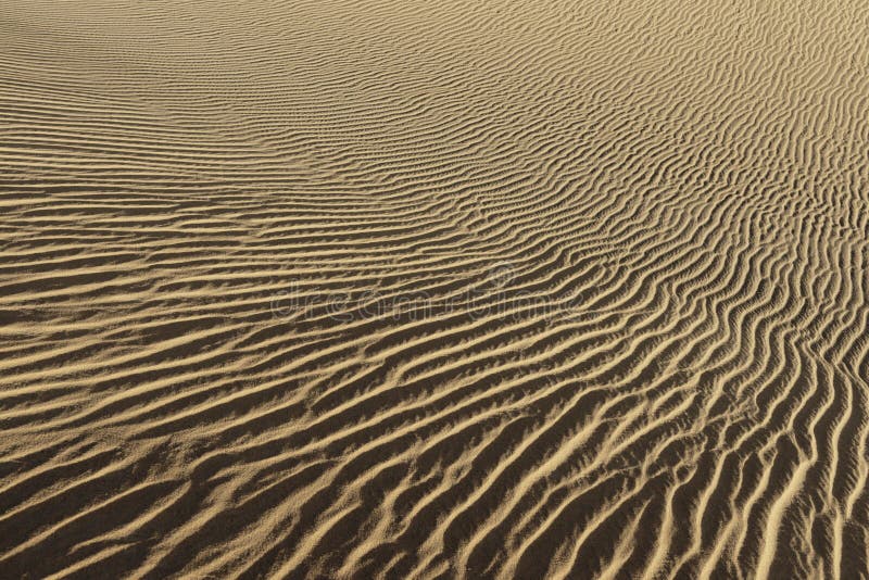 Abstract Desert Sand Pattern Shaped by Low Sunlight and Wind Formed ...
