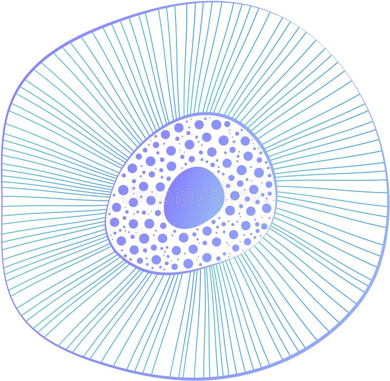 Abstract Design Element Inspired by Microscopic Biology Create Serene ...