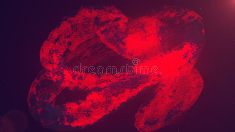 Colorful Flowing Wave of Moving Particles 3d Rendering Seamless Loop ...