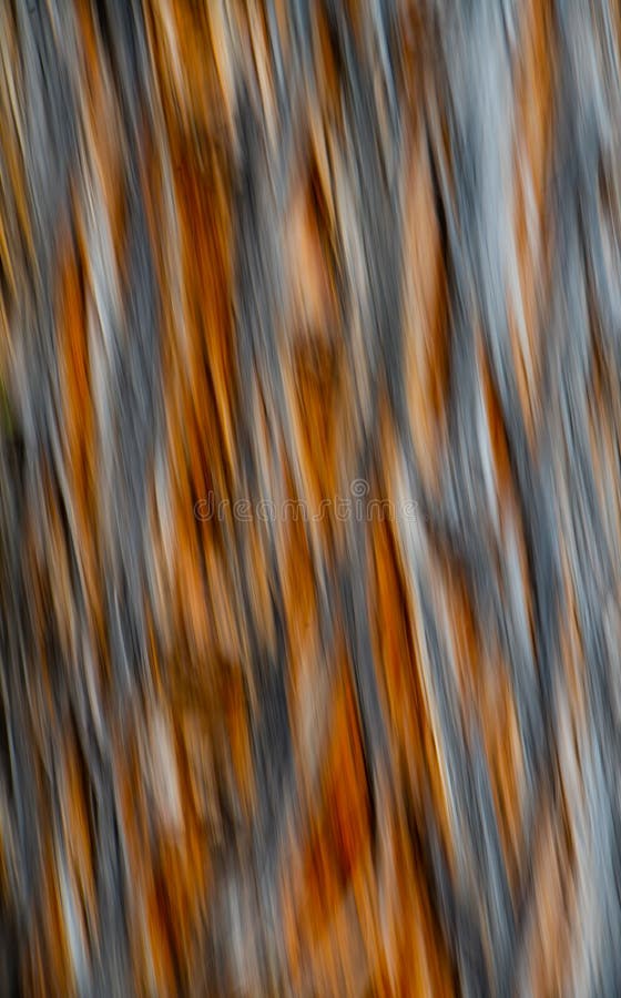 Abstract Blur Design of Tree Trunk Special Motion Effect Stock ...