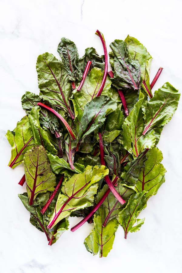 Abstract Design Using Beet Leaves and Stems. Stock Photo - Image of ...