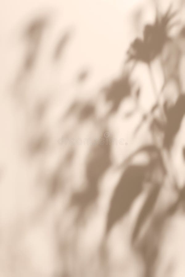 Shadow of Plants on Solid Beige Wall Texture Background Stock Image ...
