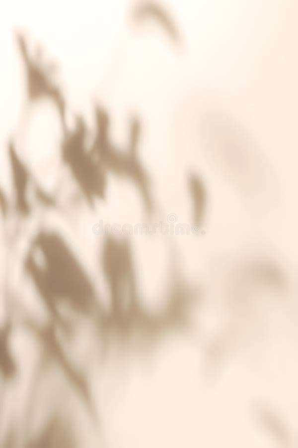 Shadow of Plants on Solid Beige Wall Texture Background Stock Image ...
