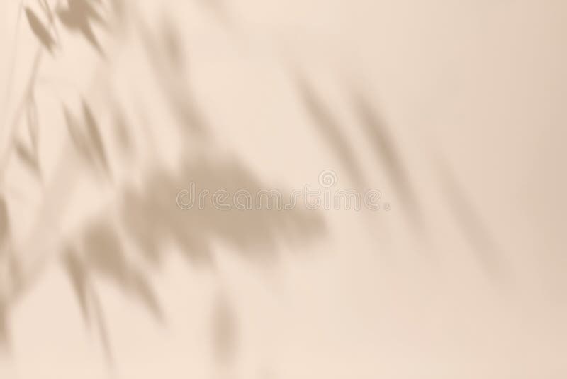 Shadow of Delicate Grass Leaves on Solid Beige Wall Texture Background ...