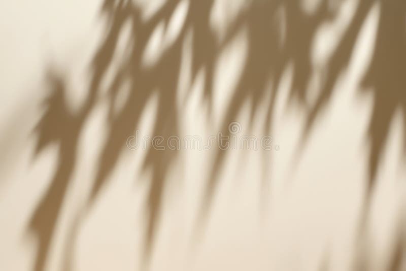 Shadow of Leaves on Solid Beige Wall Texture Background Stock Photo ...