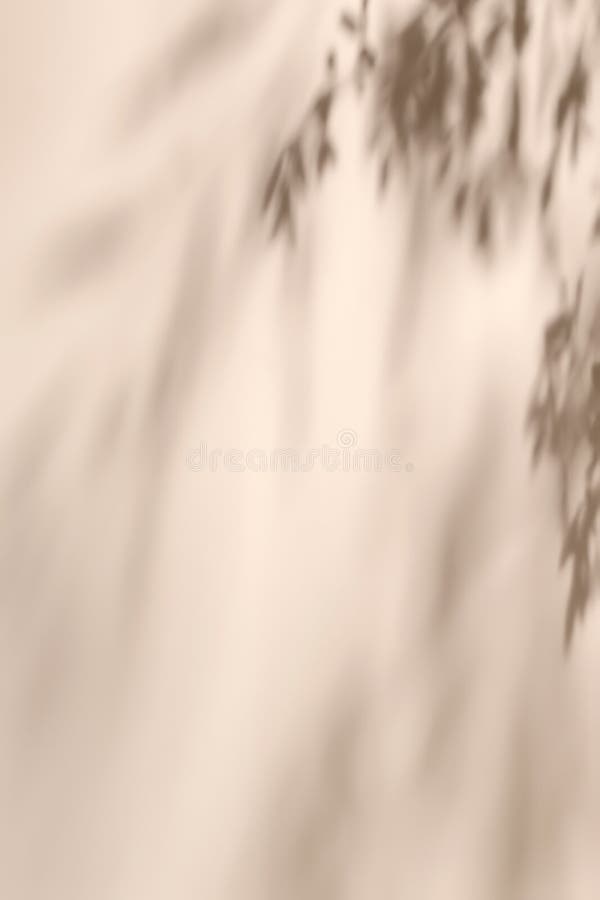 Shadow of Leaves on Solid Beige Wall Texture Background Stock Image ...