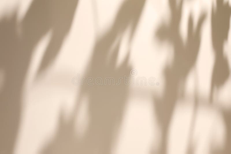 Shadow of Leaves on Solid Beige Wall Texture Background Stock Image ...