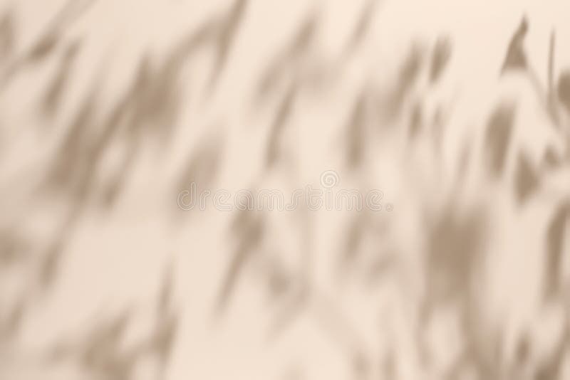 Shadow of Leaves on Solid Beige Wall Texture Background Stock Photo ...