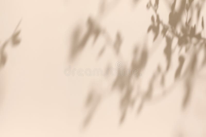 Shadow of Leaves on Solid Beige Wall Texture Background Stock Photo ...