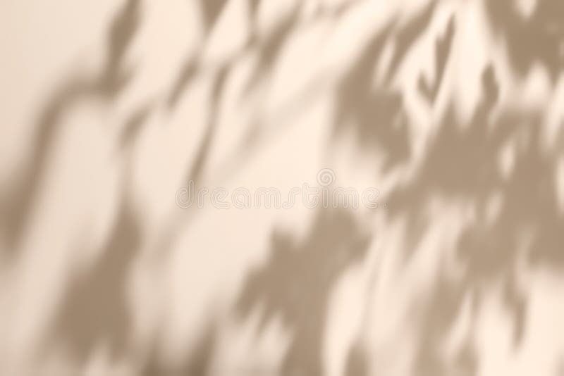 Shadow of Leaves on Solid Beige Wall Texture Background Stock Image ...