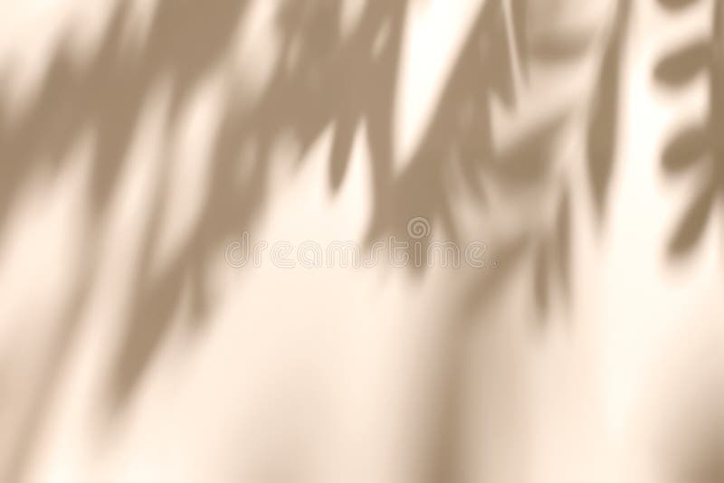 Shadow of Leaves on Solid Beige Wall Texture Background Stock Photo ...