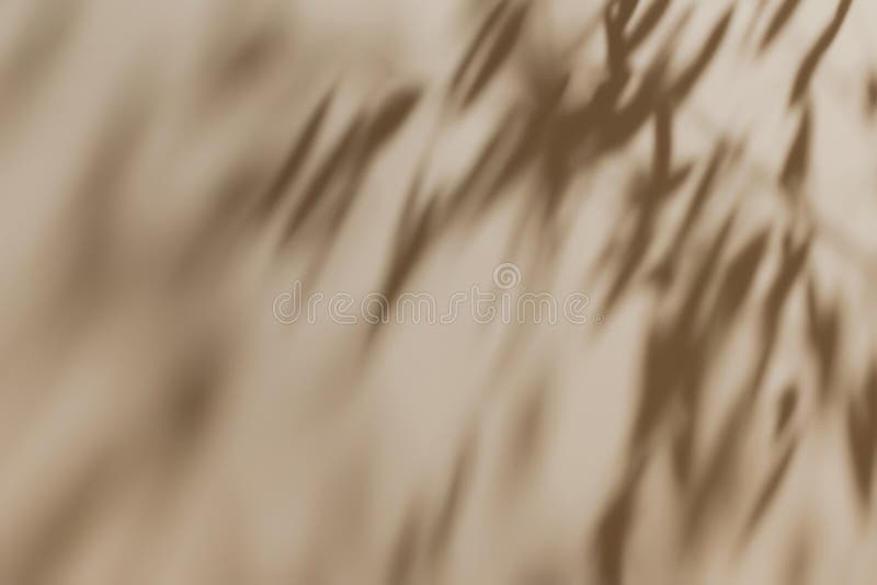 Shadow of Leaves on Solid Beige Wall Texture Background Stock Photo ...