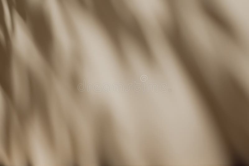 Shadow of Leaves on Solid Beige Wall Texture Background Stock Image ...