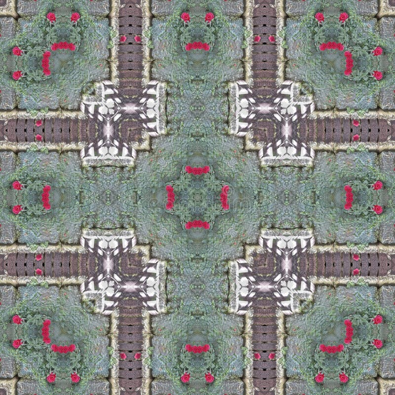 Abstract Digital Edited Color Photography Stock Photo - Image of ...