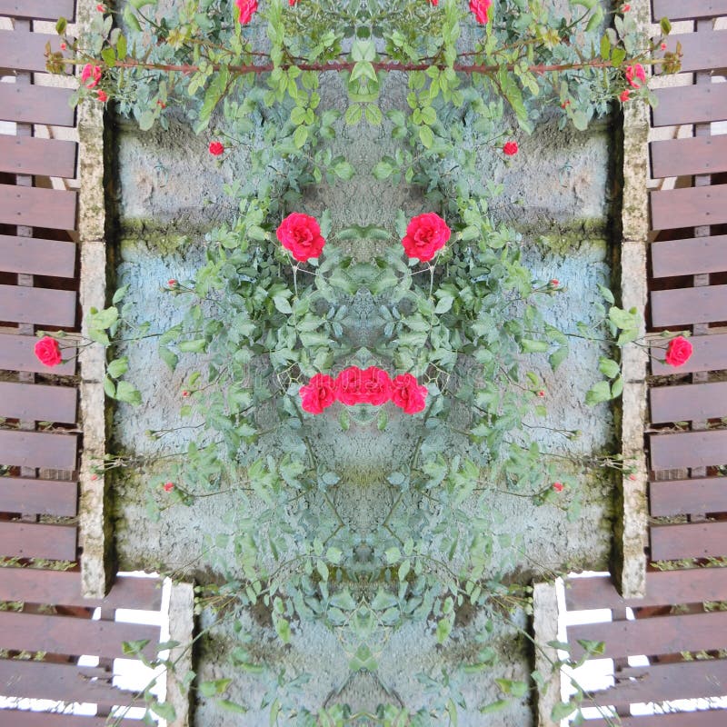 Abstract Digital Edited Color Photography Stock Photo - Image of frame ...