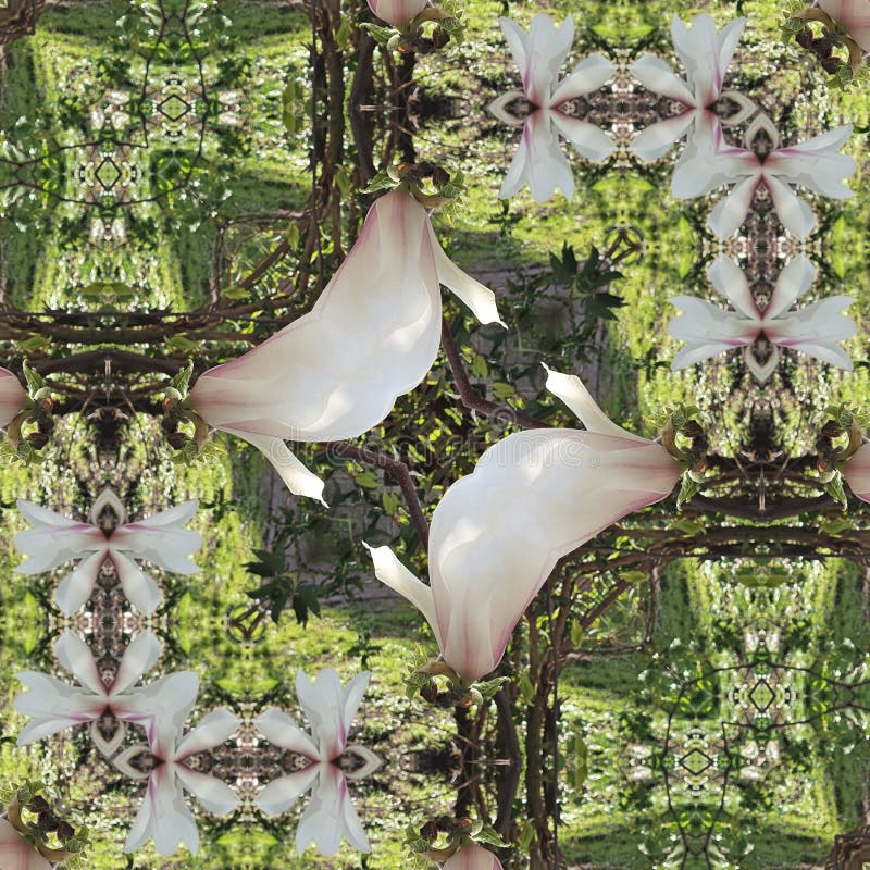 Abstract Digital Edited Color Photography Stock Image - Image of modern ...