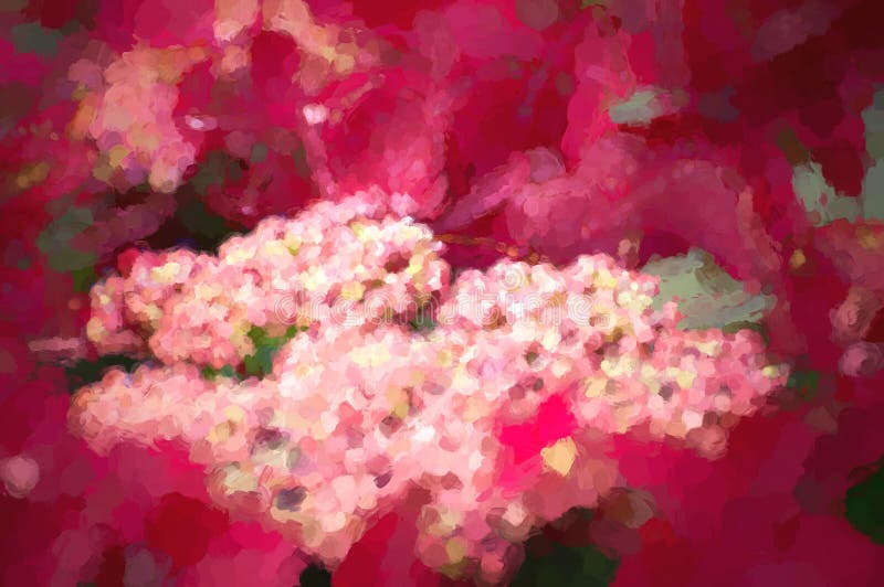 Abstract Digital Watercolour Image of a Pink Hydrangea Stock ...