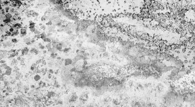 Abstract Dirty Grey Rust Texture. Grey Rusty Grain on White Grey Wall ...